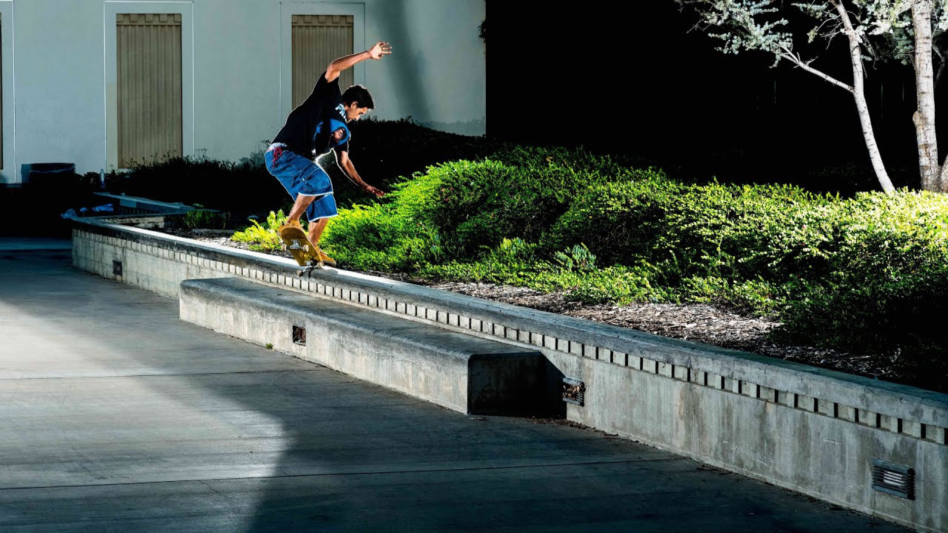 Primitive x 2pac | Tiago Lemos By Primitive Skate | Skate Sonr