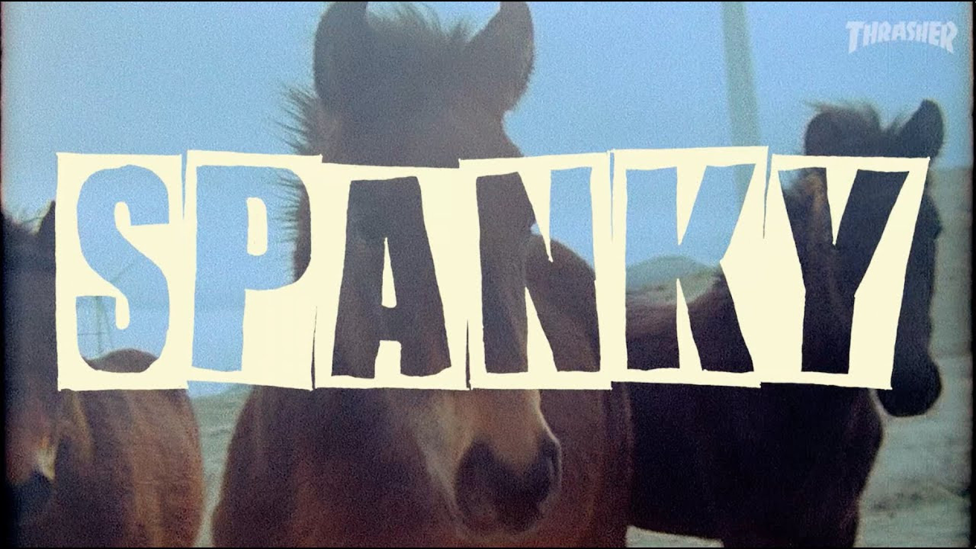 Horses By Baker Skateboards | Skate Sonr