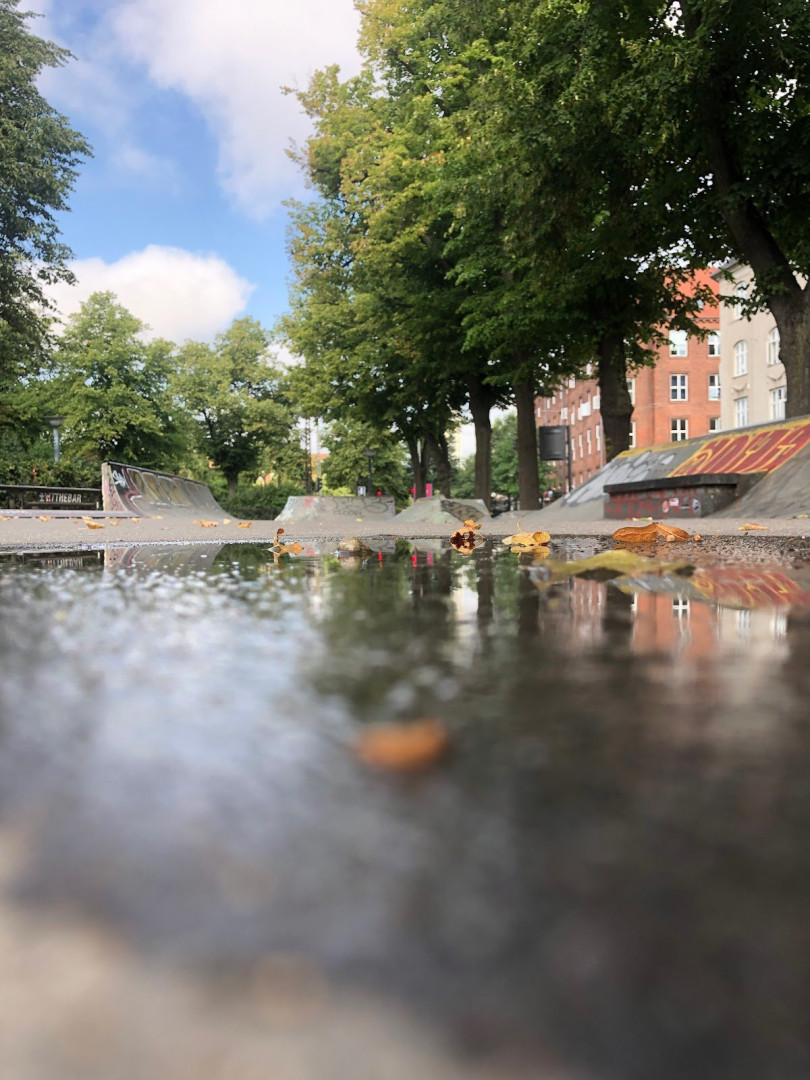 Enghave Skatepark | Skate Sonr